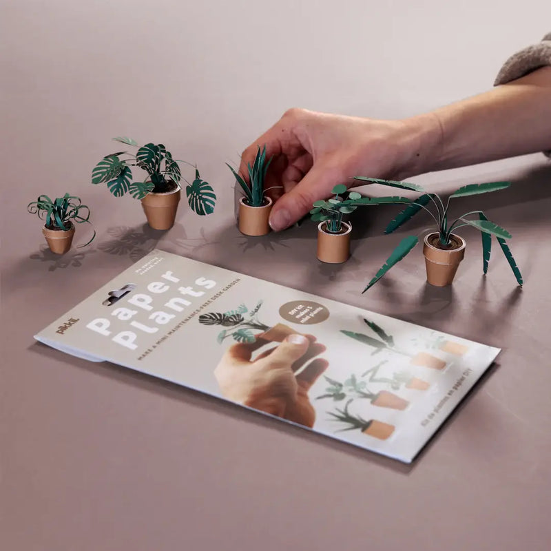Paper Plants – Flying Pig Toys