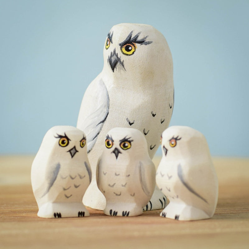 Snowy Owl Set – Flying Pig Toys