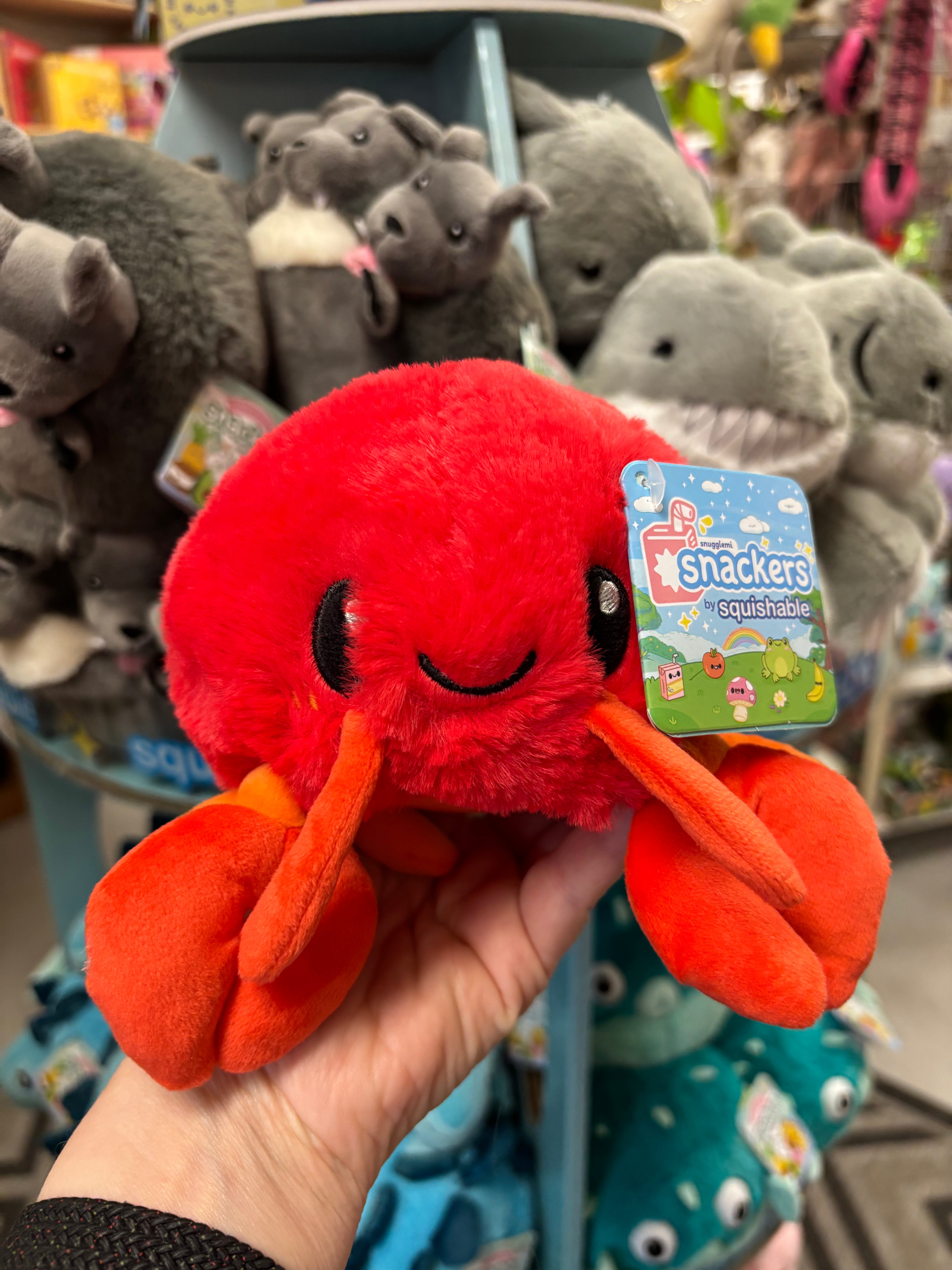 Snacker Lobster – Flying Pig Toys