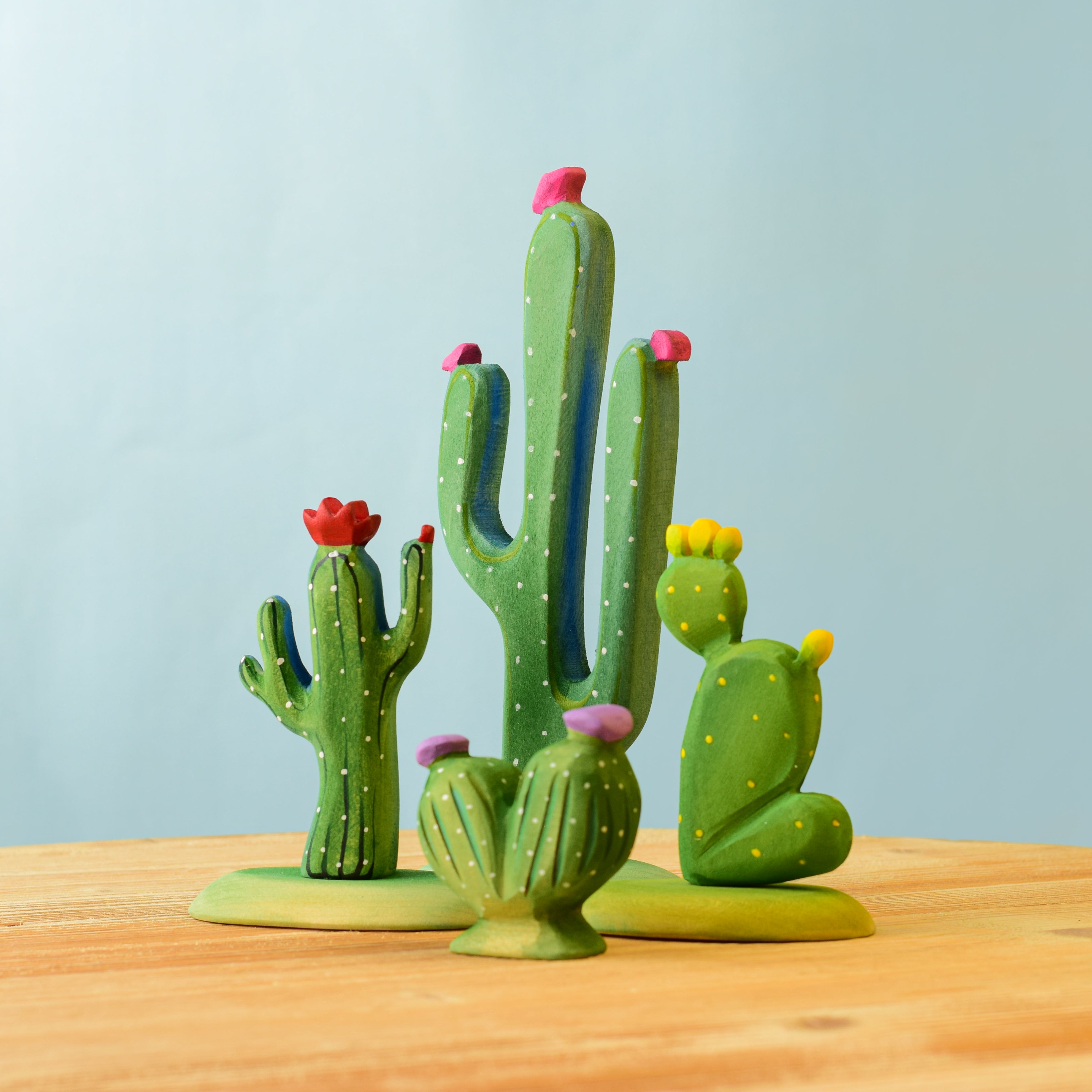 Cacti Set – Flying Pig Toys