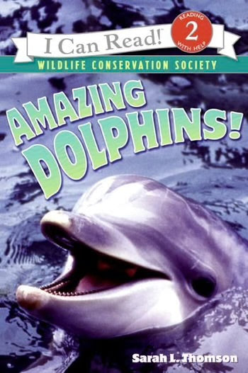 Amazing Dolphins! – Flying Pig Toys