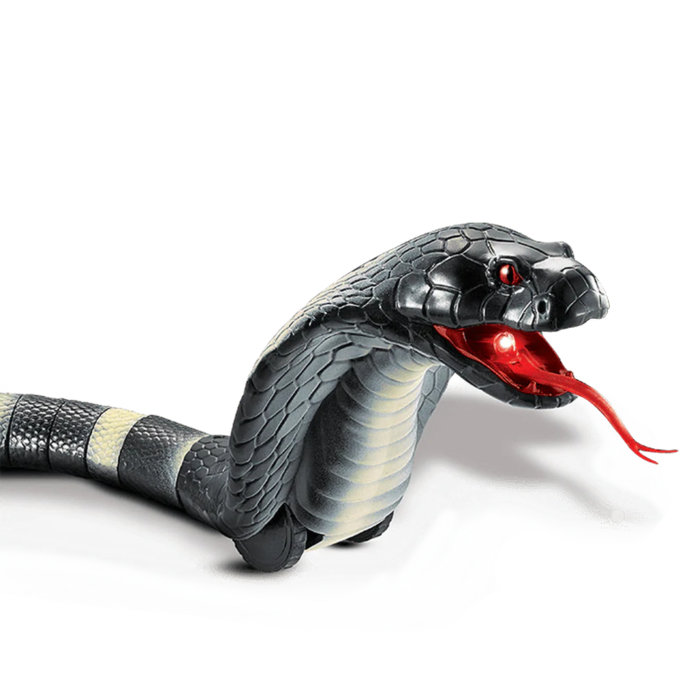 Creepy Critters Slithering Snake – Flying Pig Toys