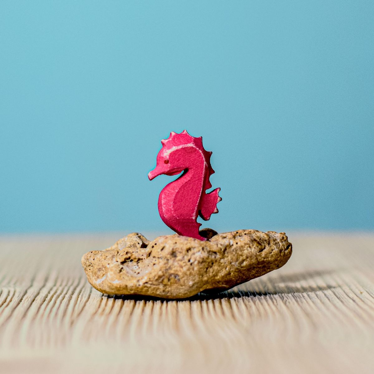 Seahorse – Flying Pig Toys