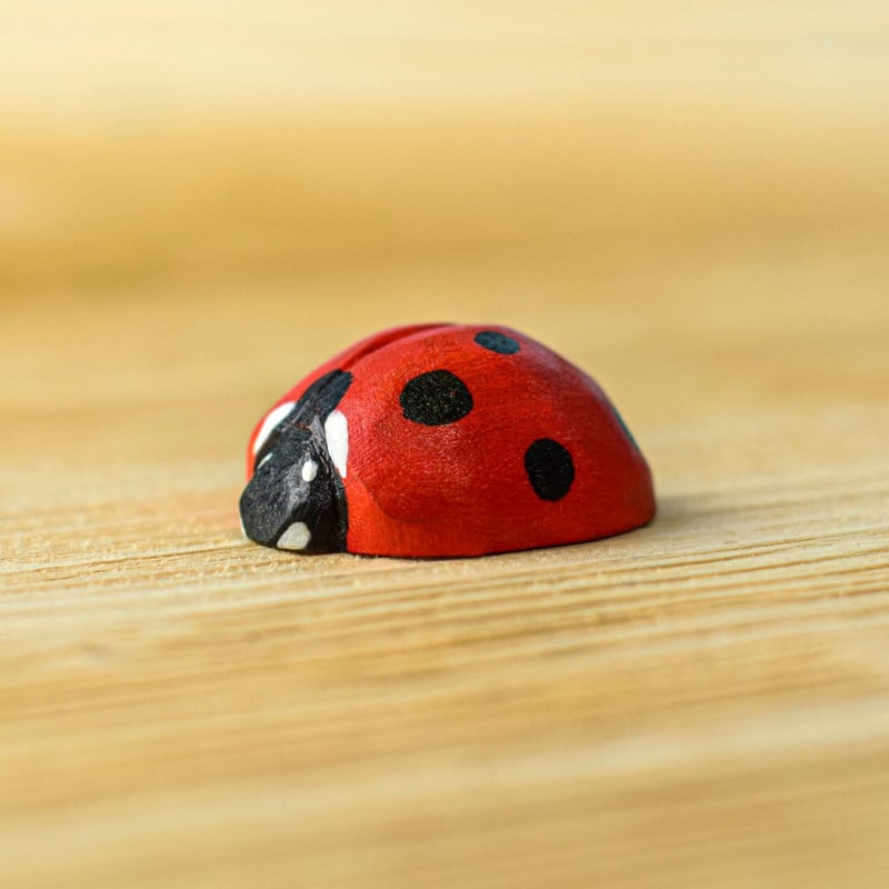 Ladybug – Flying Pig Toys