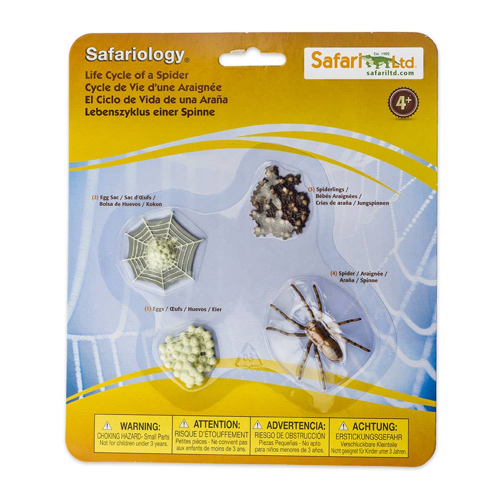 Life Cycle Of A Spider - 100406 – Flying Pig Toys